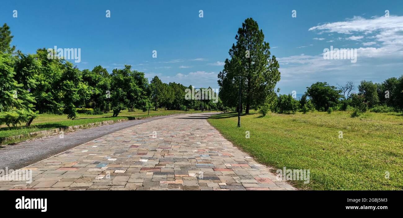 Path walk amid green hi-res stock photography and images - Alamy