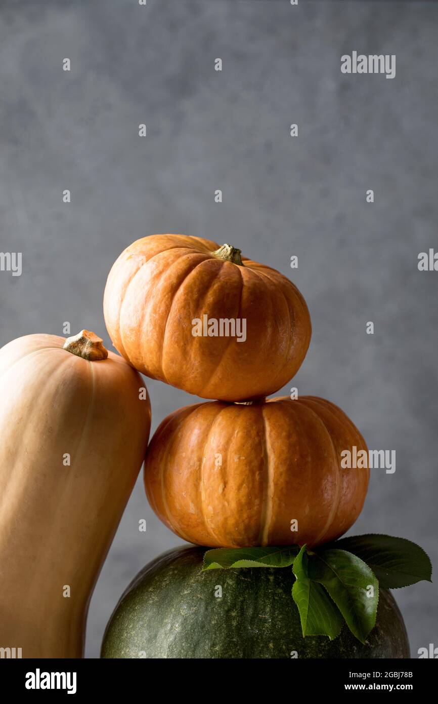 A set of pumpkins of different shapes and sizes with space for text ...