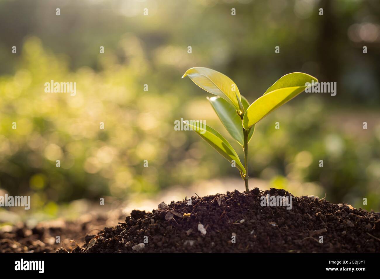 Save mother land hi-res stock photography and images - Alamy