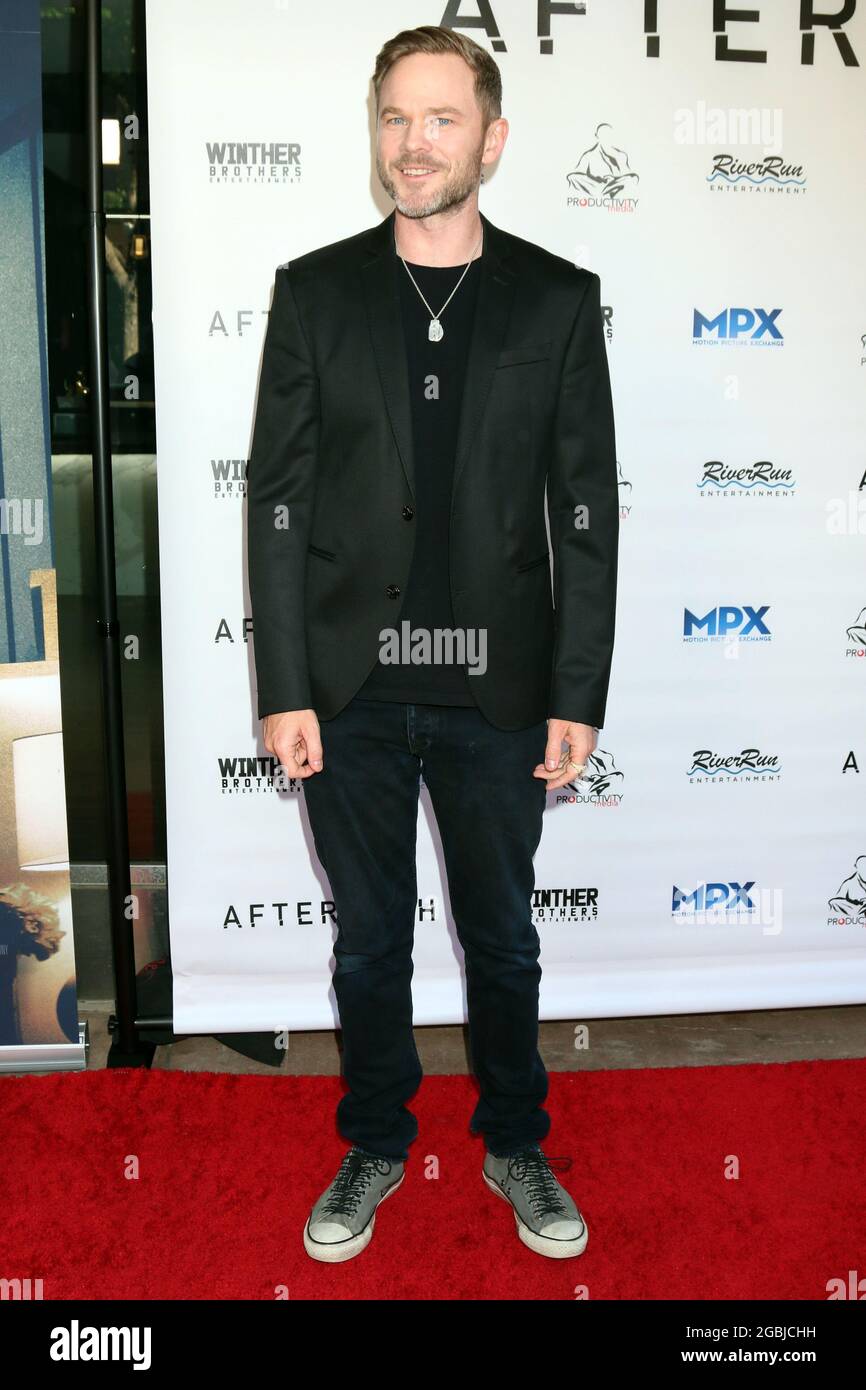 LOS ANGELES - AUG 3: Shawn Ashmore at the Aftermath Premiere at the ...