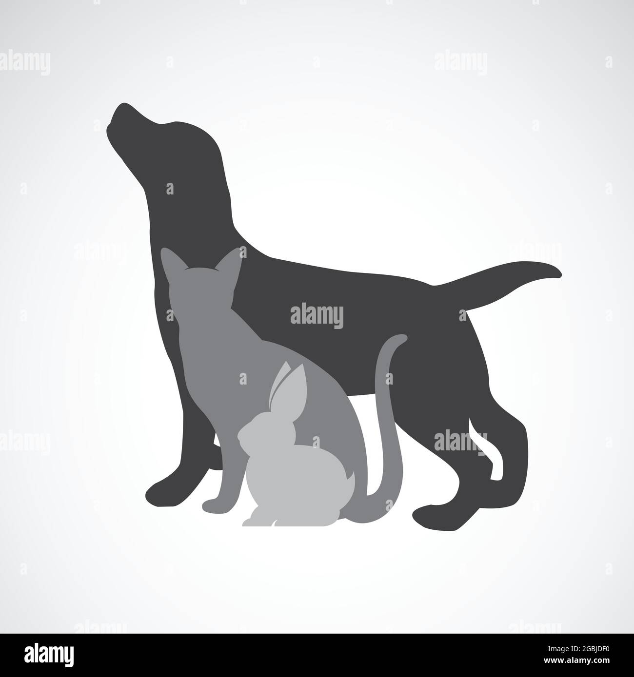 Vector group of pets - Dog, cat, rabbit, isolated on white background ...