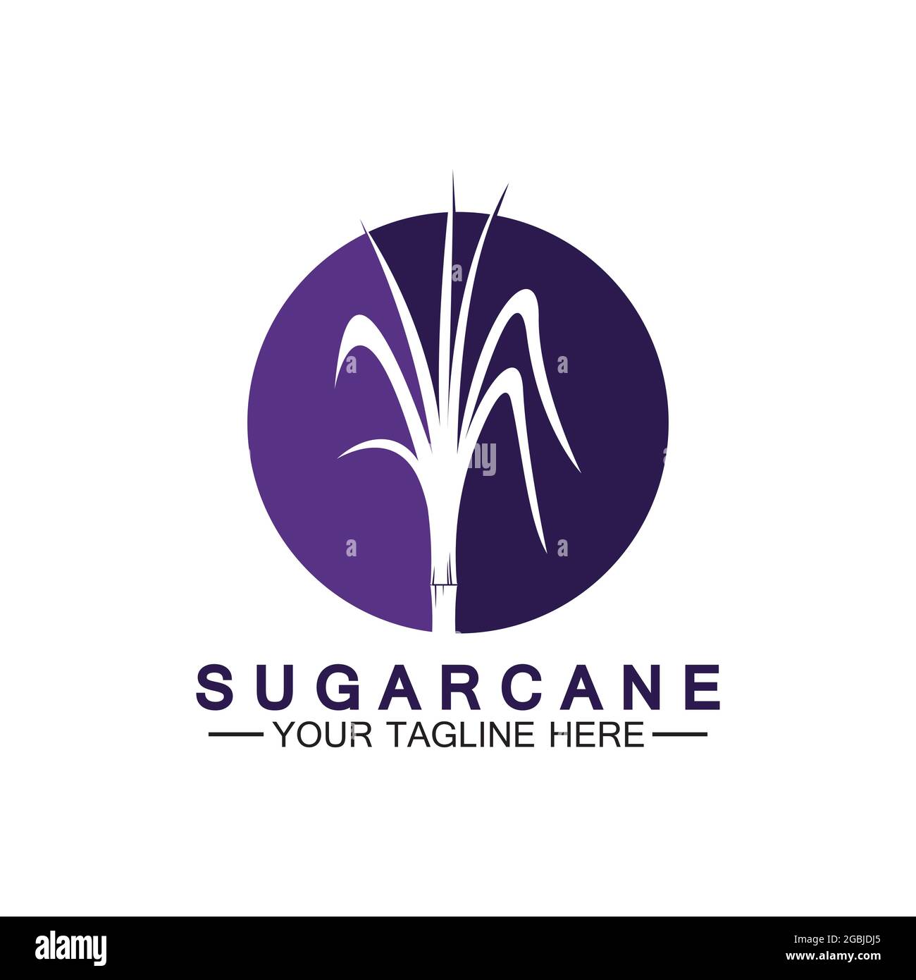 Sugar cane logo icon symbol vector illustration design template Stock ...