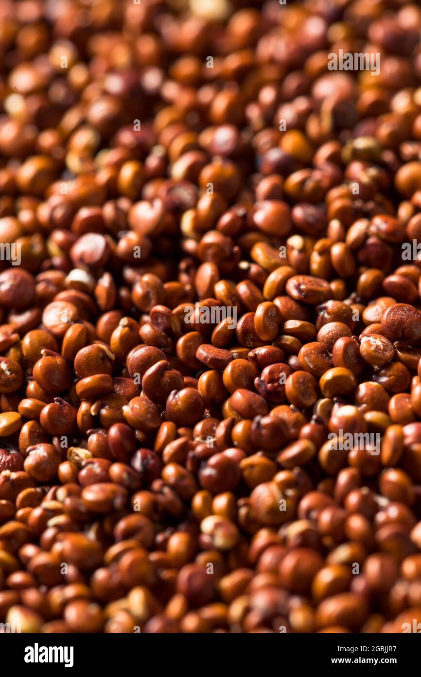Raw Dry Organic Red Quinoa in a Bowl Stock Photo - Alamy