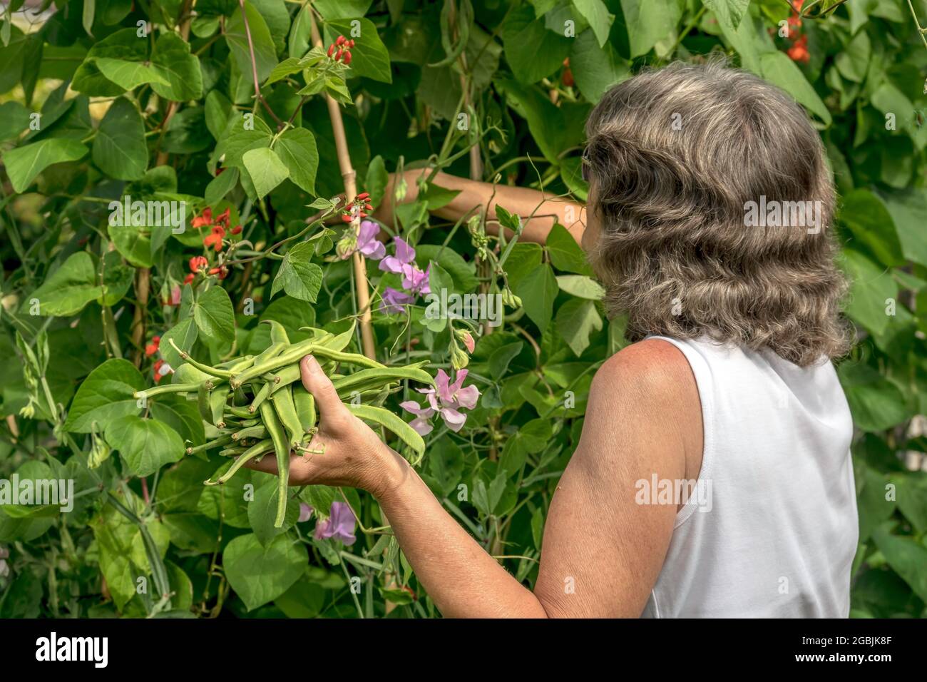 Summer heatwave 70s hi-res stock photography and images - Alamy