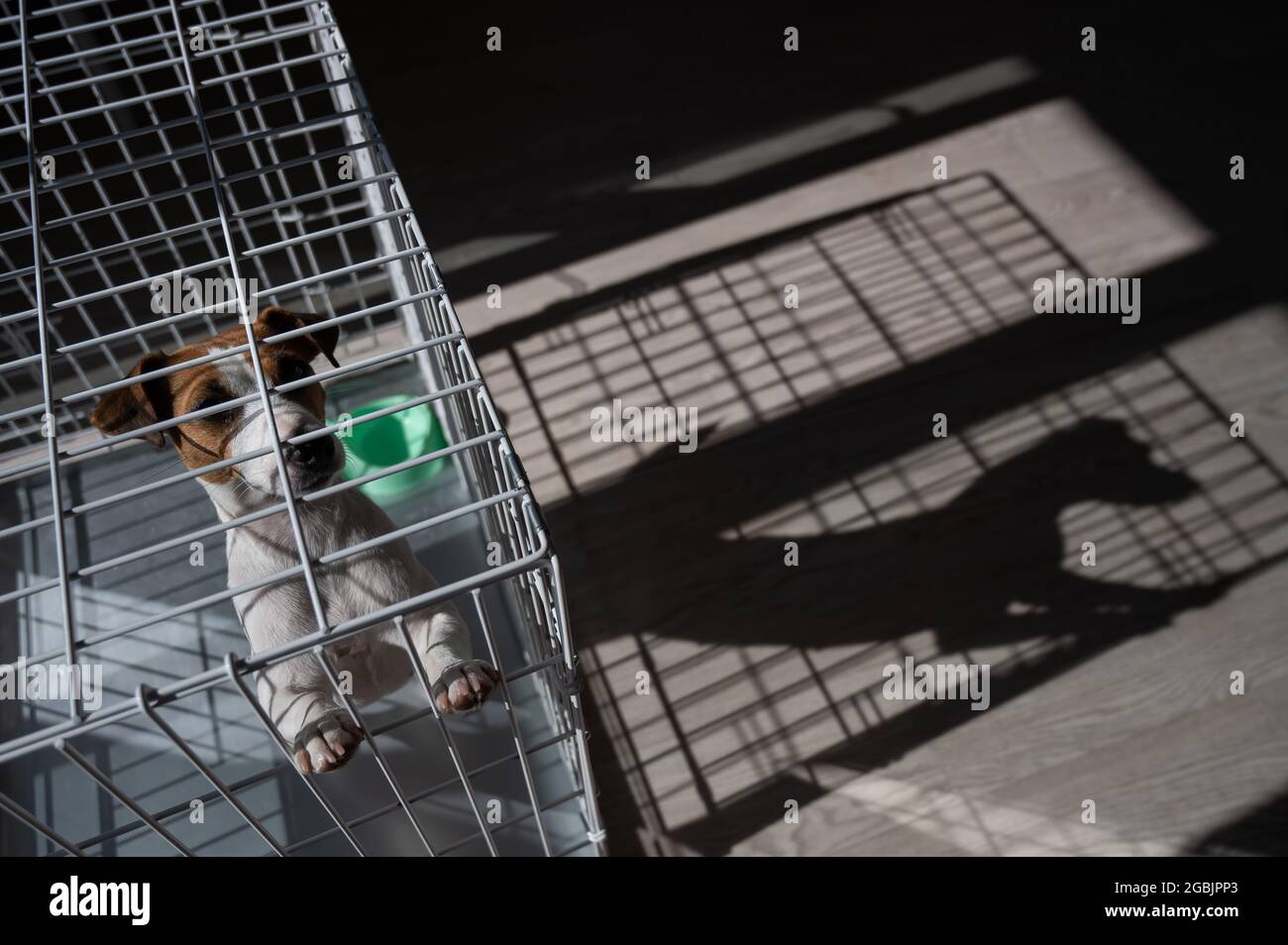 Empty zoo animal cage hi-res stock photography and images - Alamy