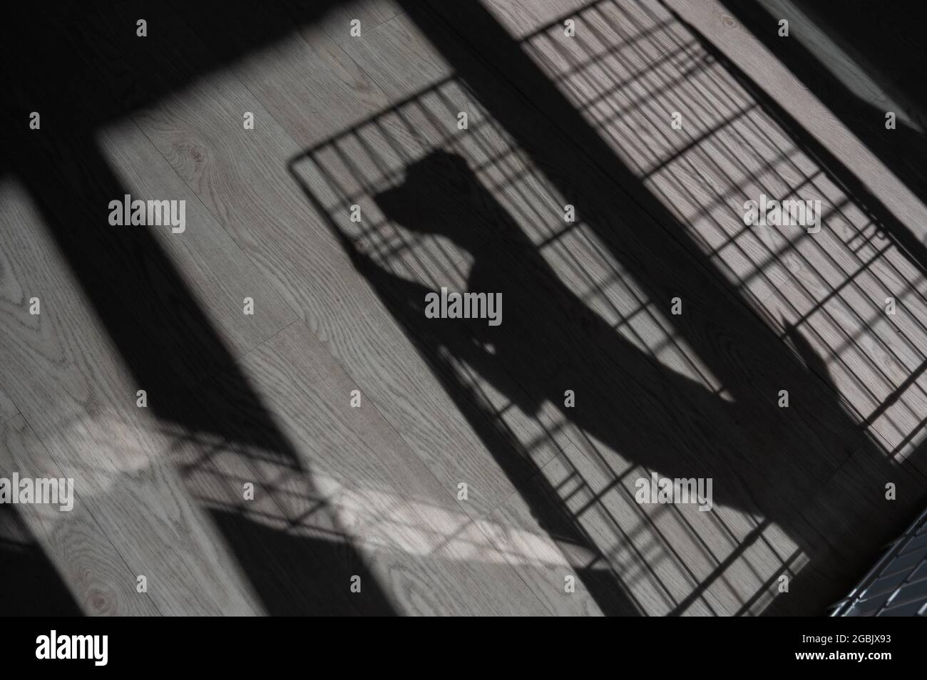 Shadow box fence hi-res stock photography and images - Alamy