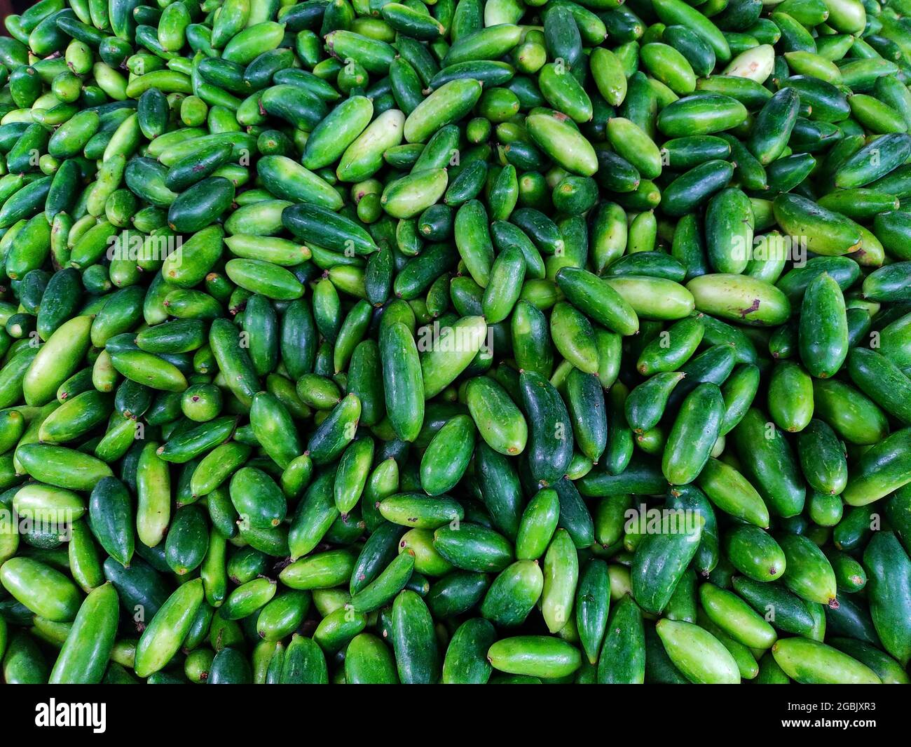 Closeup shot of plenty of cucumbers Stock Photo - Alamy