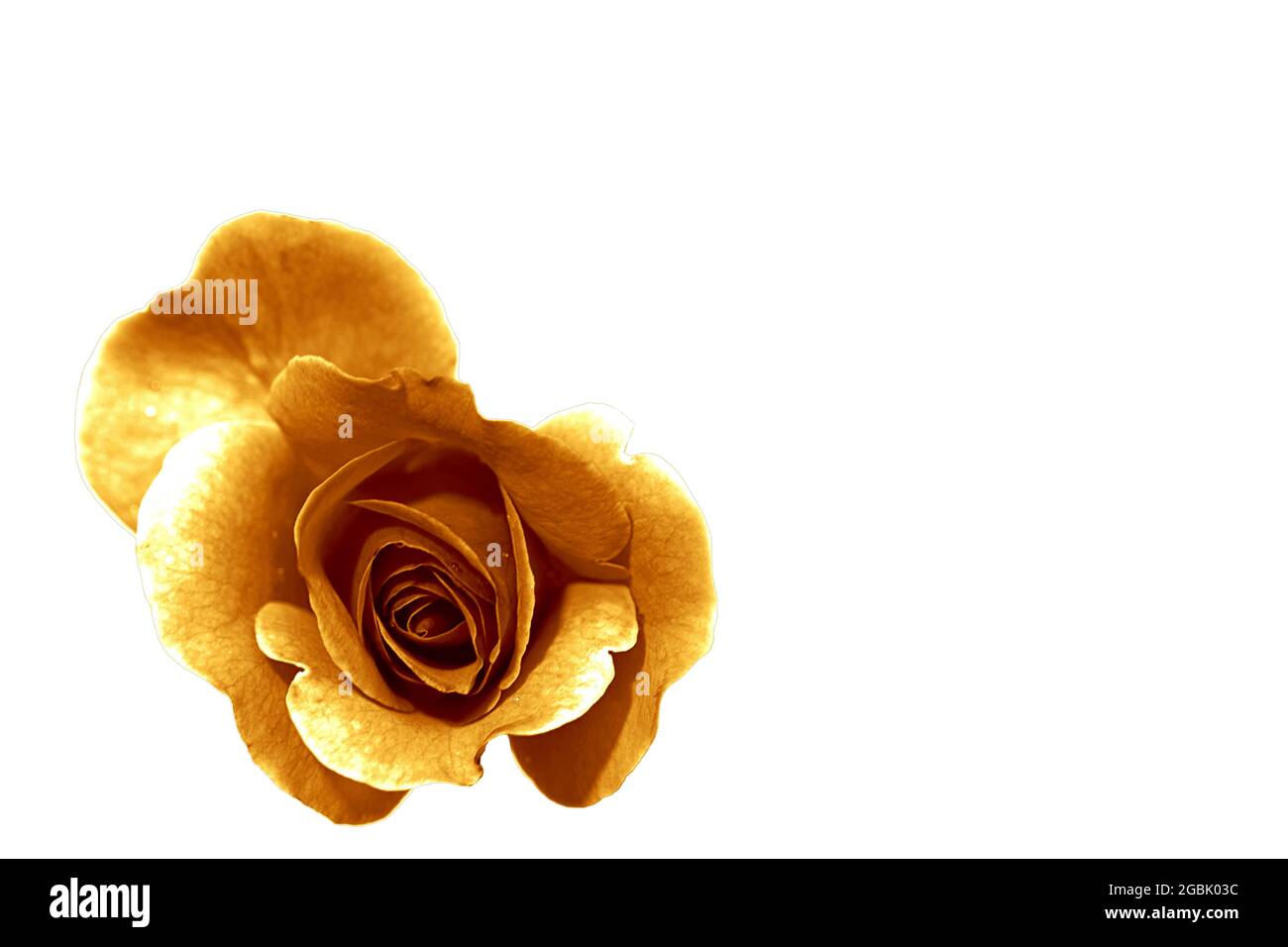 Abstract gold flower Cut Out Stock Images & Pictures - Alamy
