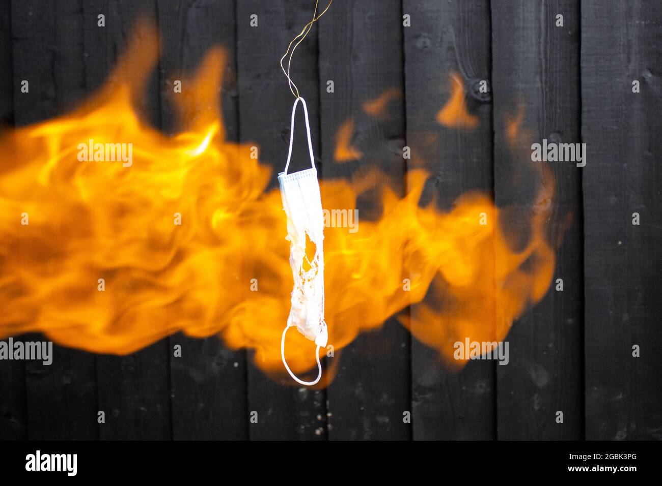 Burning single-use mask on a wooden wall background - lockdown lifted ...