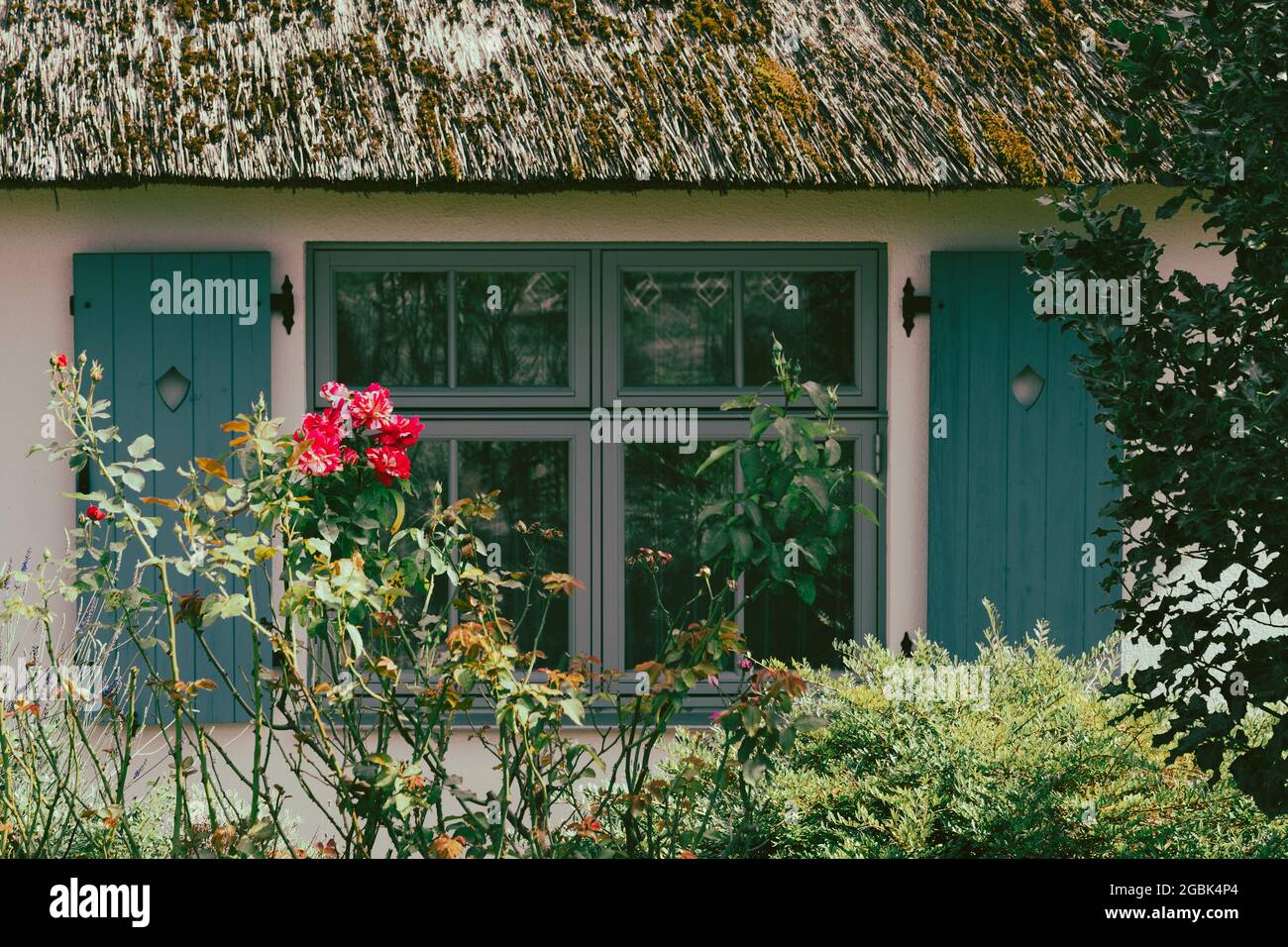 View of a beautiful window with flowers and other plants in a ...