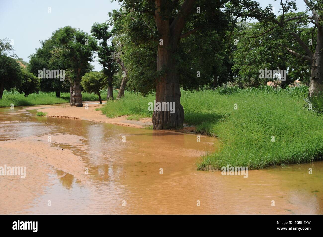 Orange sand park with green grass, trees, and a small river Stock Photo ...