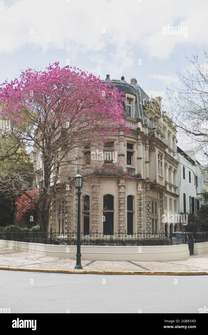 Lapacho hi-res stock photography and images - Alamy