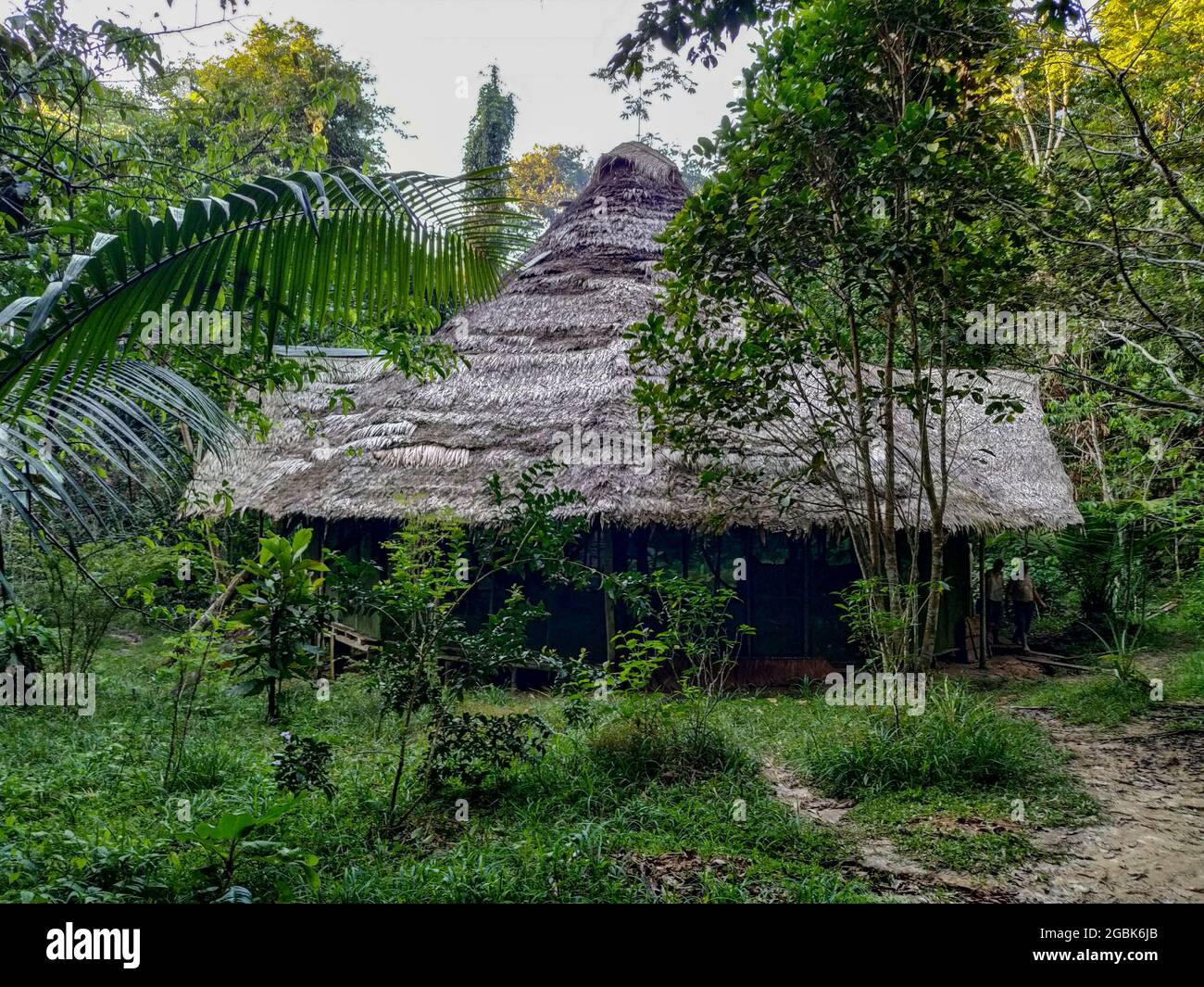 Brazilian traditional Indian straw roof Stock Photo - Alamy