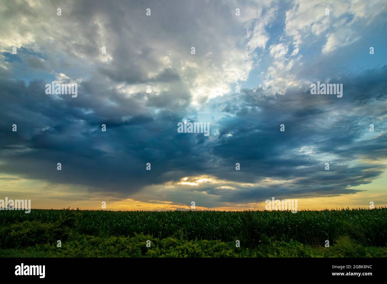 Dramatic Sky over a Corn Field Stock Photo - Alamy