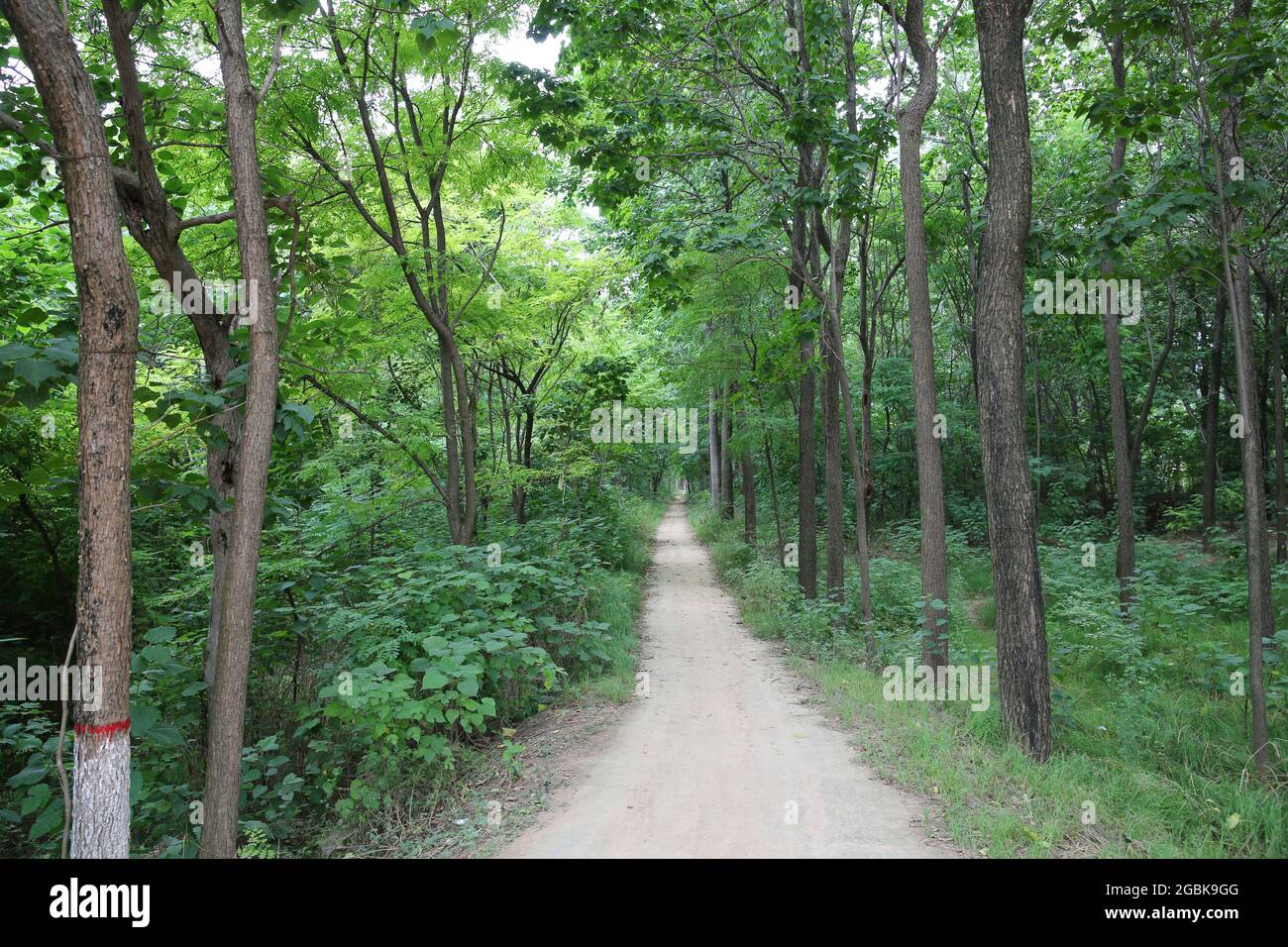 A thousand-year-old village with more than two hundred underground ...