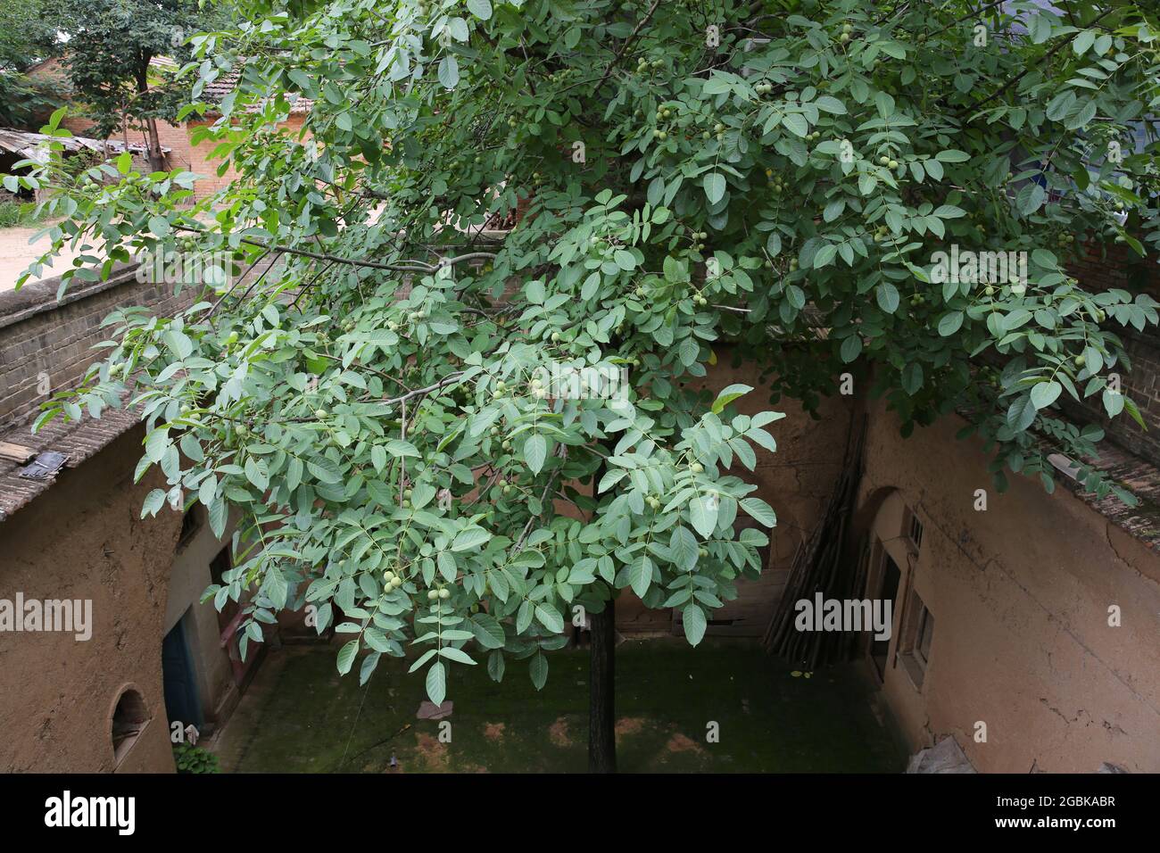A thousand-year-old village with more than two hundred underground ...