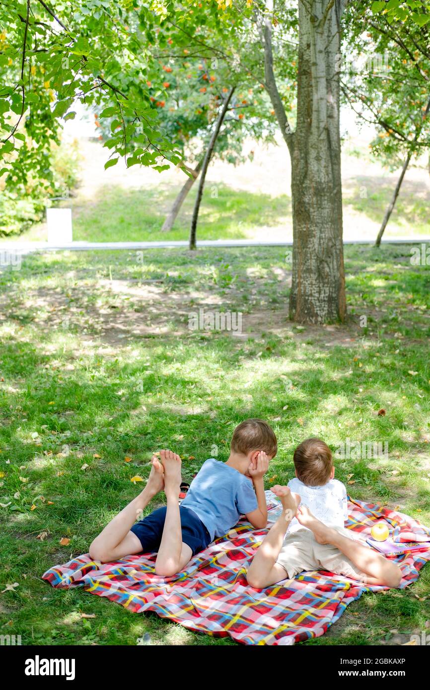 Two boys lie on a blanket in a green park. Children read a book lying ...