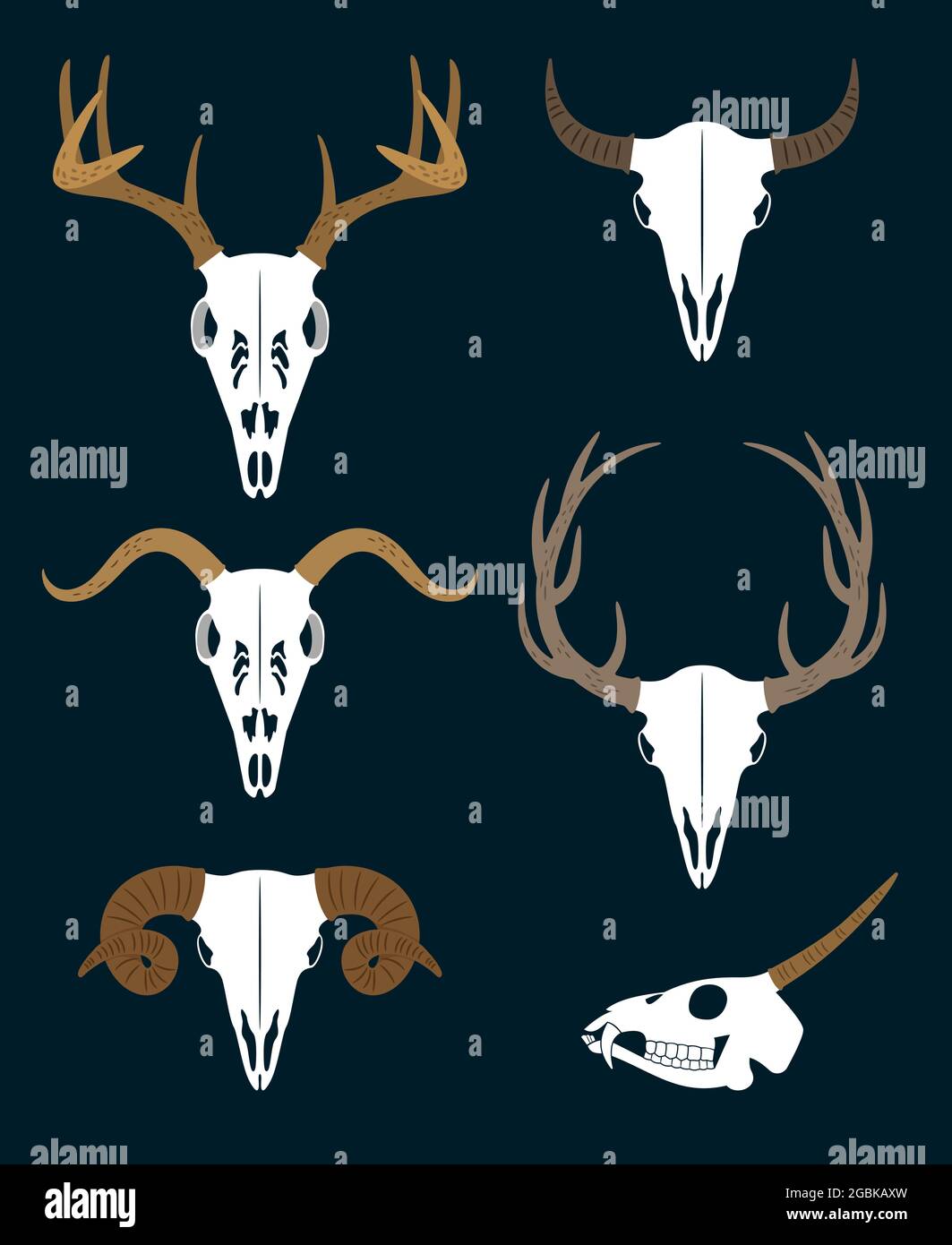Skull different animals Stock Vector Images - Alamy