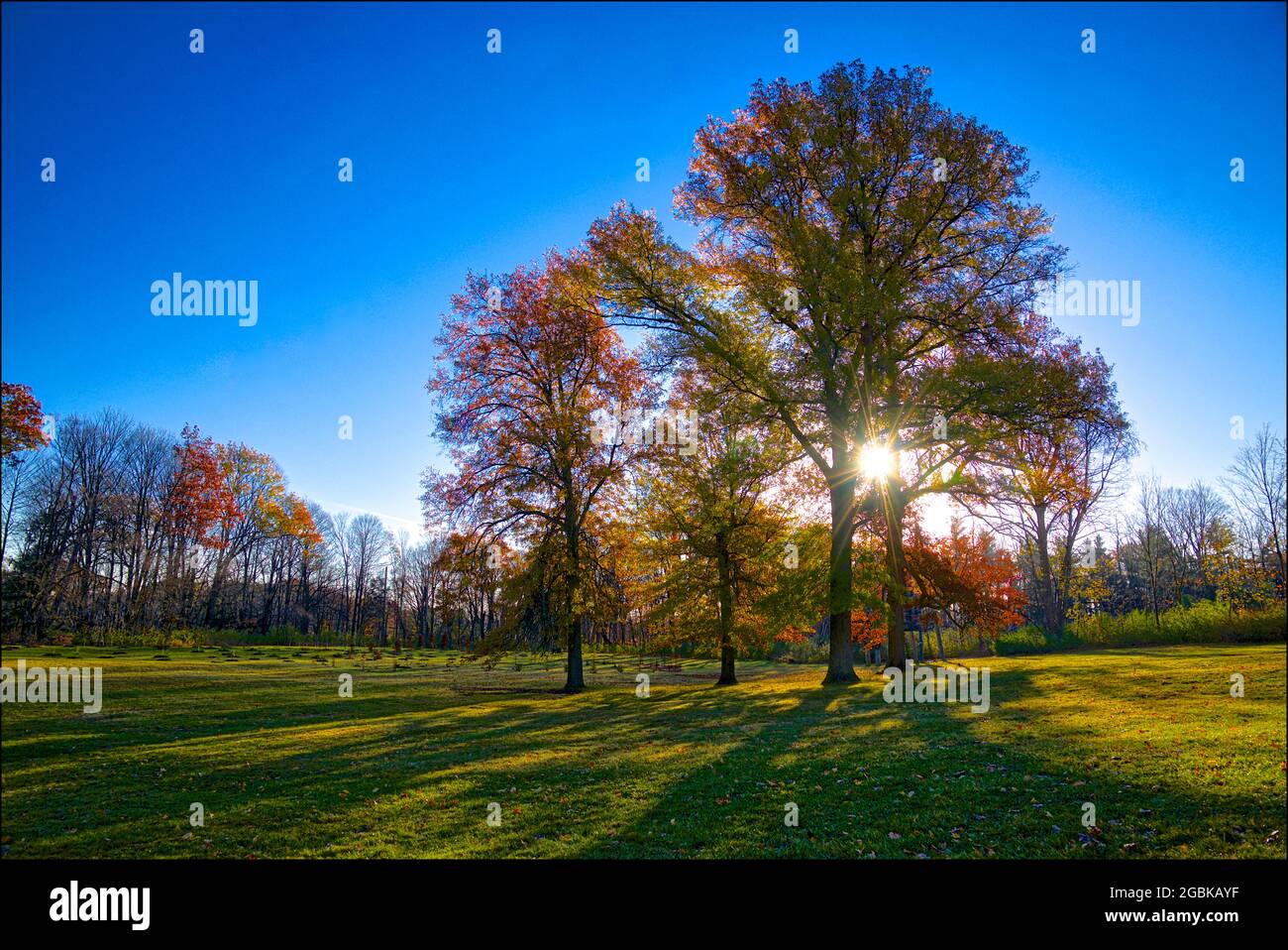 Sunrise with autumn leaf colour and lens flare Stock Photo - Alamy