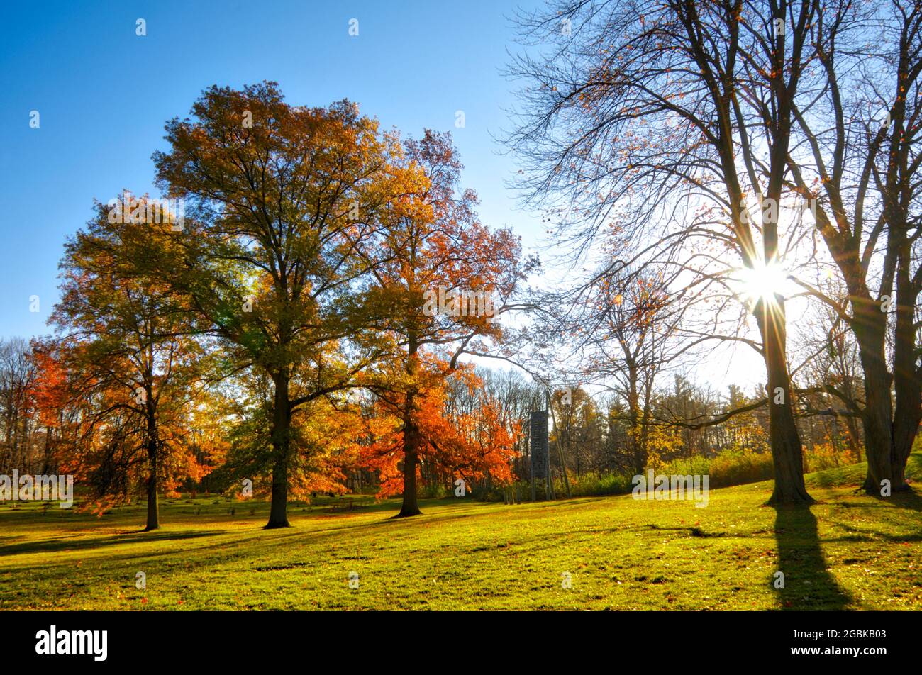 Sunrise with autumn leaf colour and lens flare in the public park Stock ...