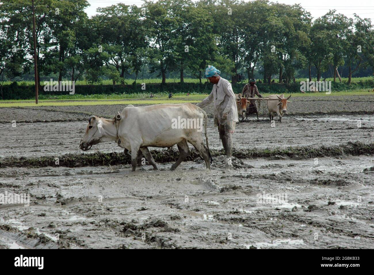 Madaripur hi-res stock photography and images - Alamy