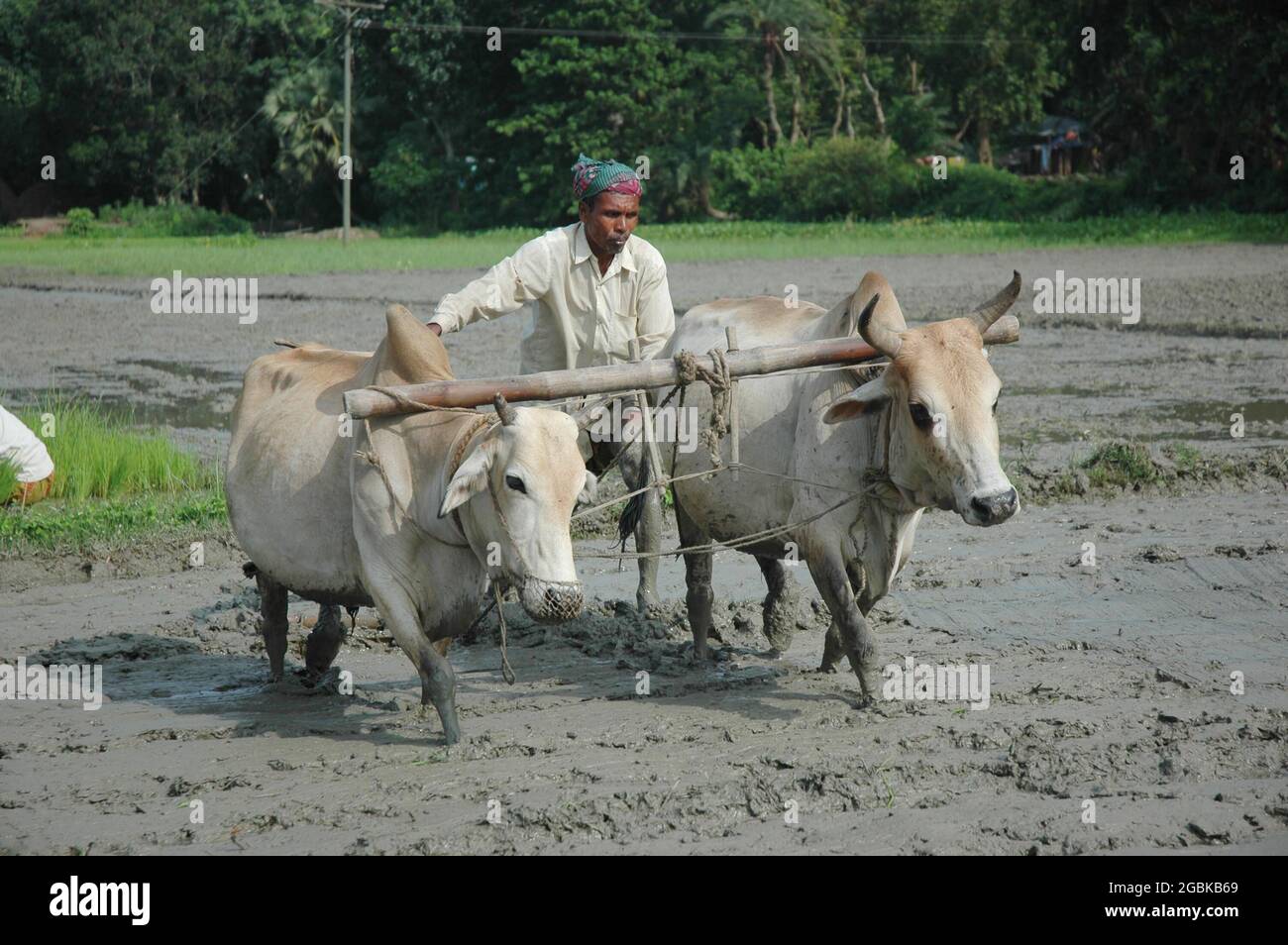 Madaripur hi-res stock photography and images - Alamy
