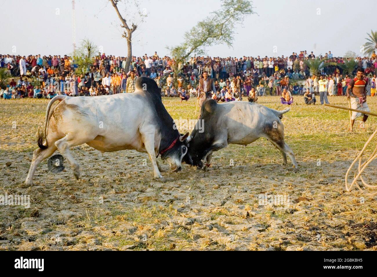 Ladai hi-res stock photography and images - Alamy