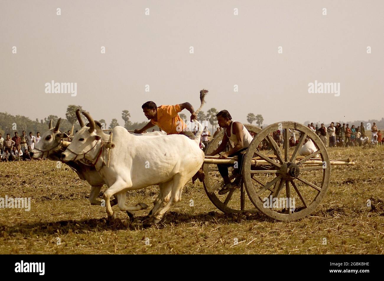 Gorur gari dabor hi-res stock photography and images - Alamy