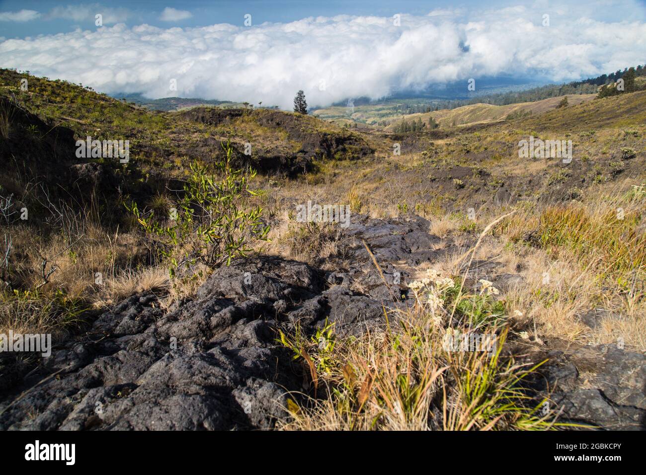 Tambora volcano at Sumbawa Insland, Indonesia Stock Photo - Alamy