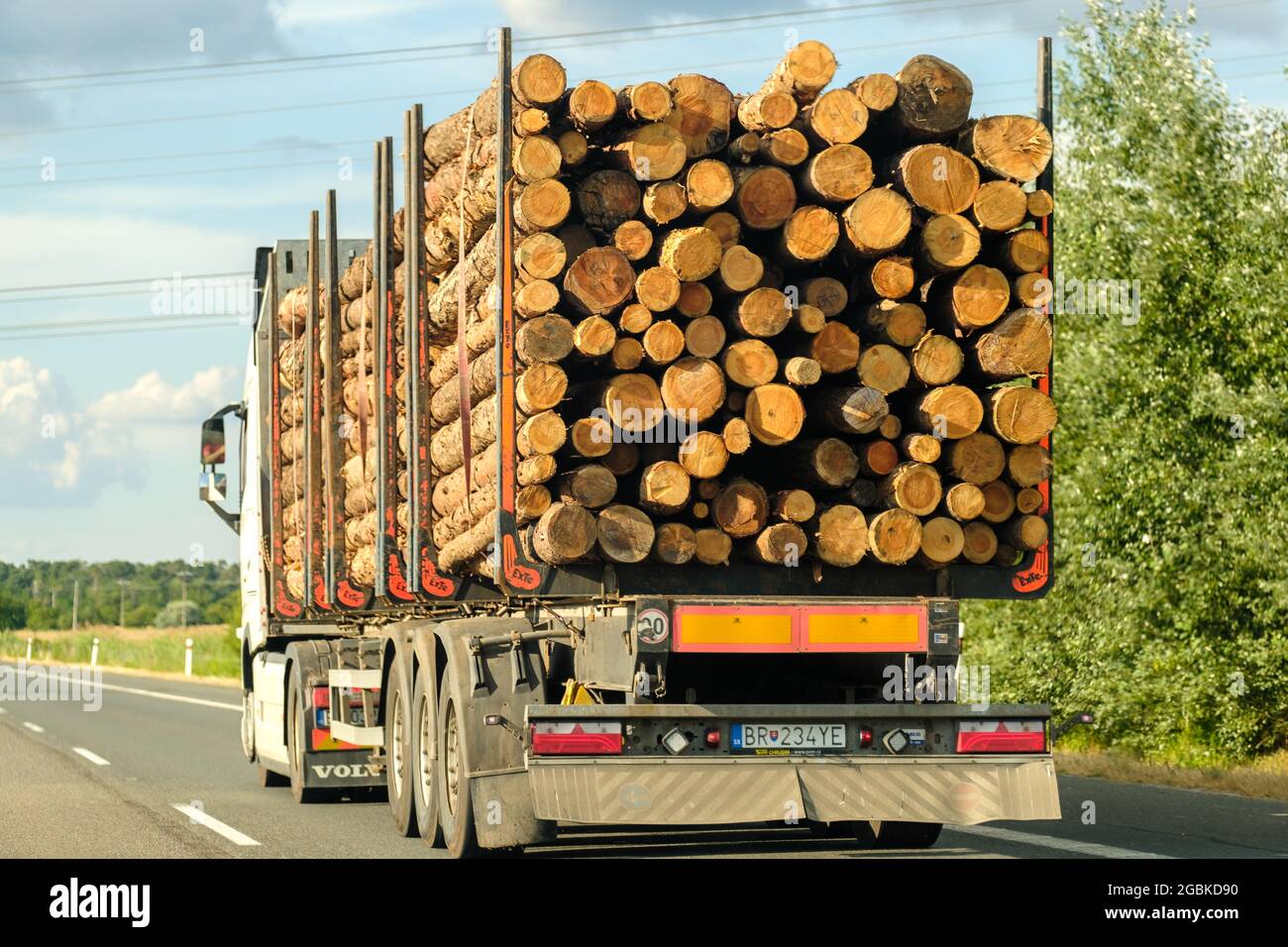 A timber truck transports logs on the highway. Timber transportation ...