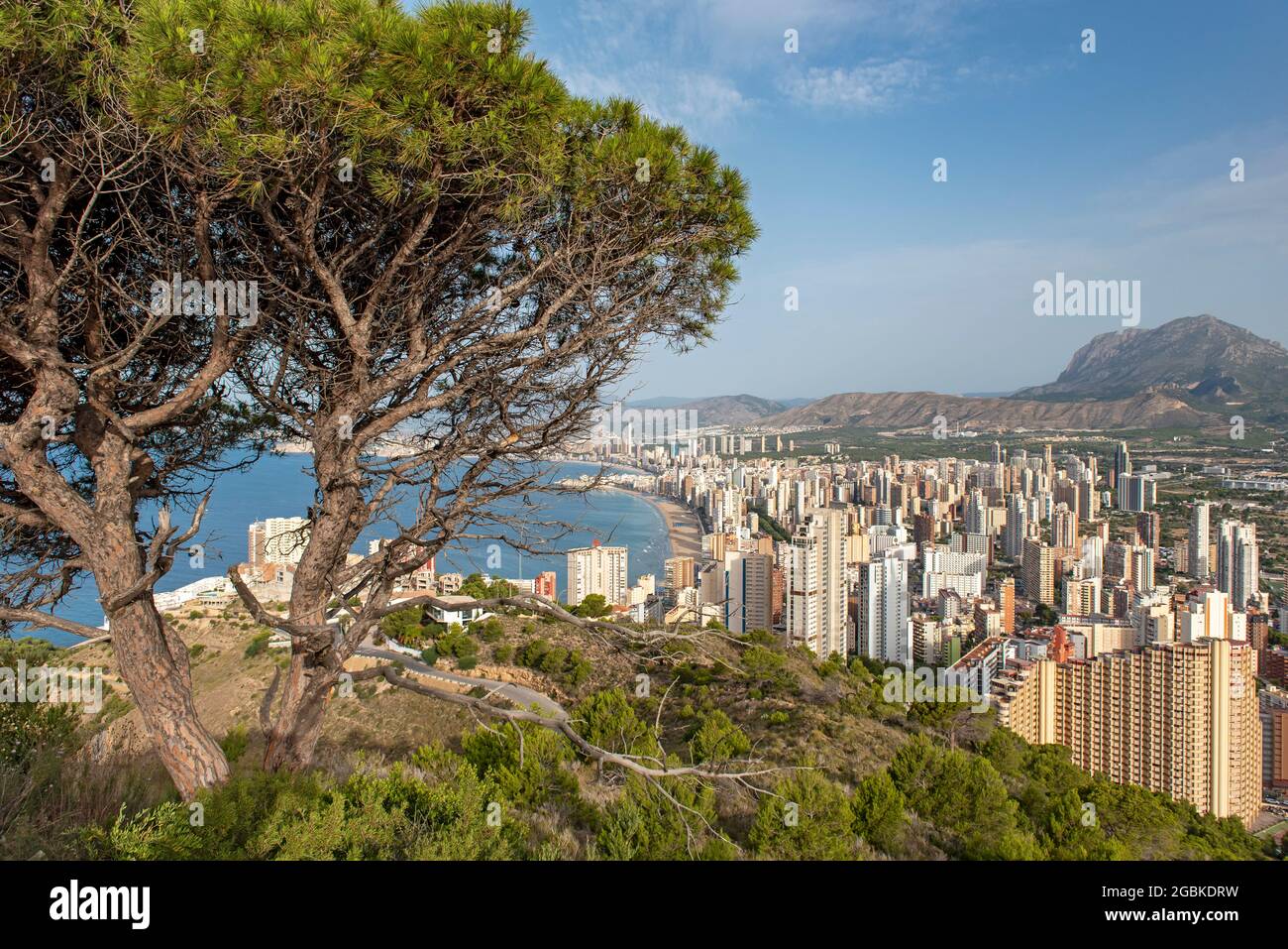 Skyscrapers of Benidorm as seen from La Creu (Cross) mountain, Spain ...