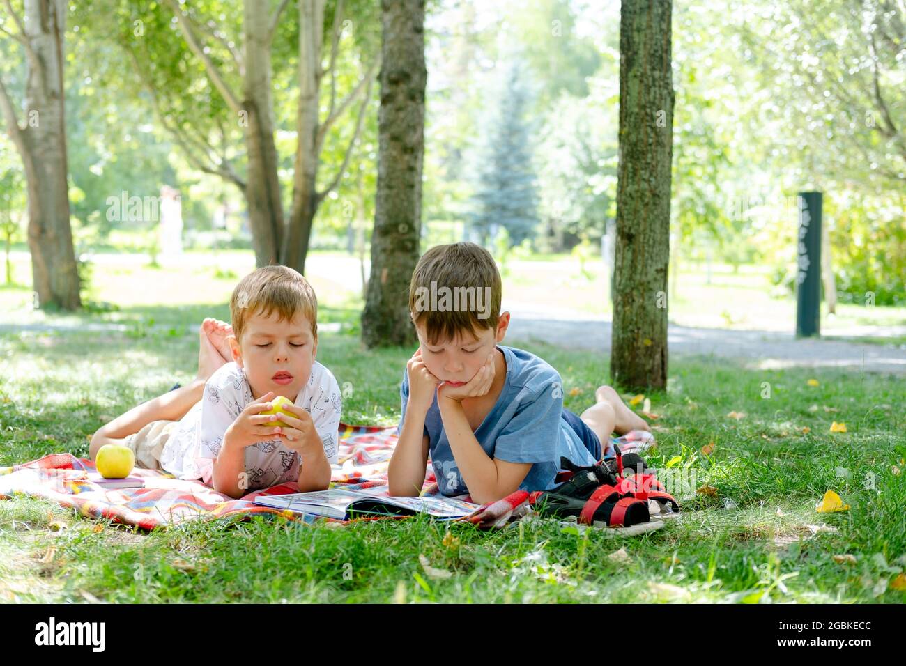 Two boys lie on a blanket in a green park. Children read a book lying ...