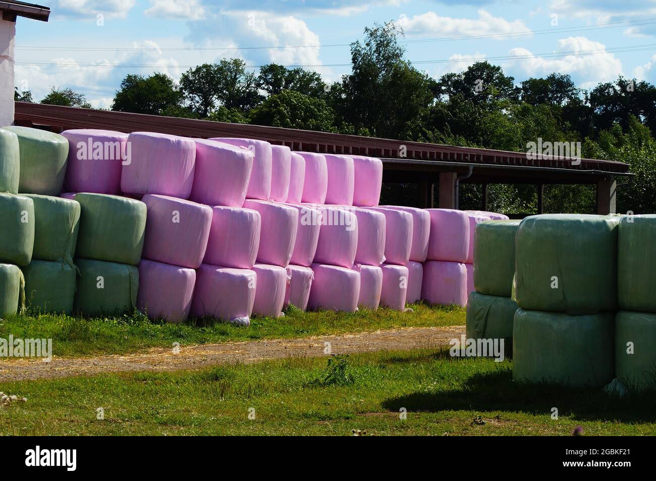 Baled silage on a farm Stock Photo - Alamy