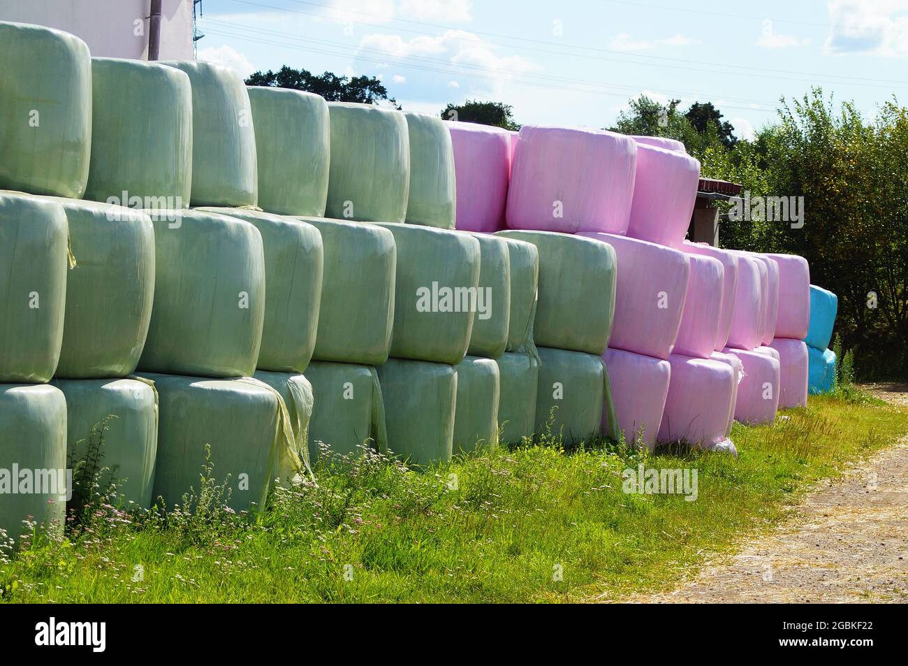 Baled silage on a farm Stock Photo - Alamy