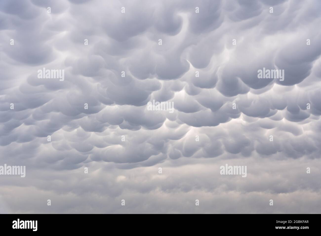 Sheep shape hi-res stock photography and images - Alamy