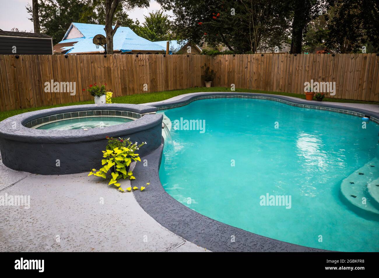 A large free form gray grey accent swimming pool with turquoise blue ...
