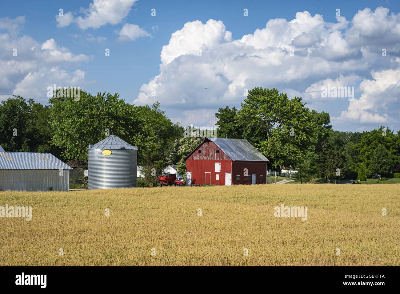 Rural midwest farm under summer blue sky and white clouds with r Stock ...