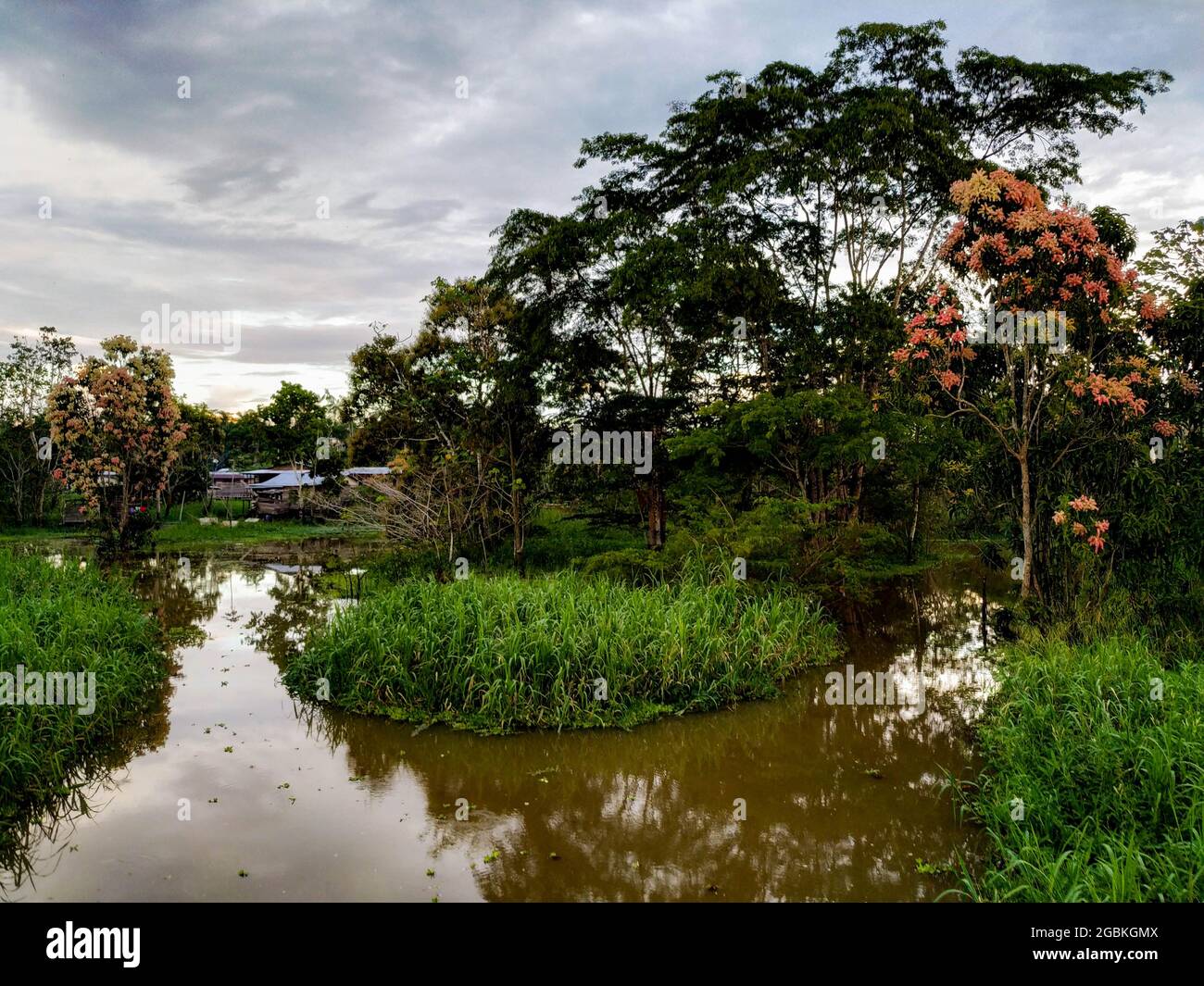Amazon River and clouds reflex Stock Photo - Alamy