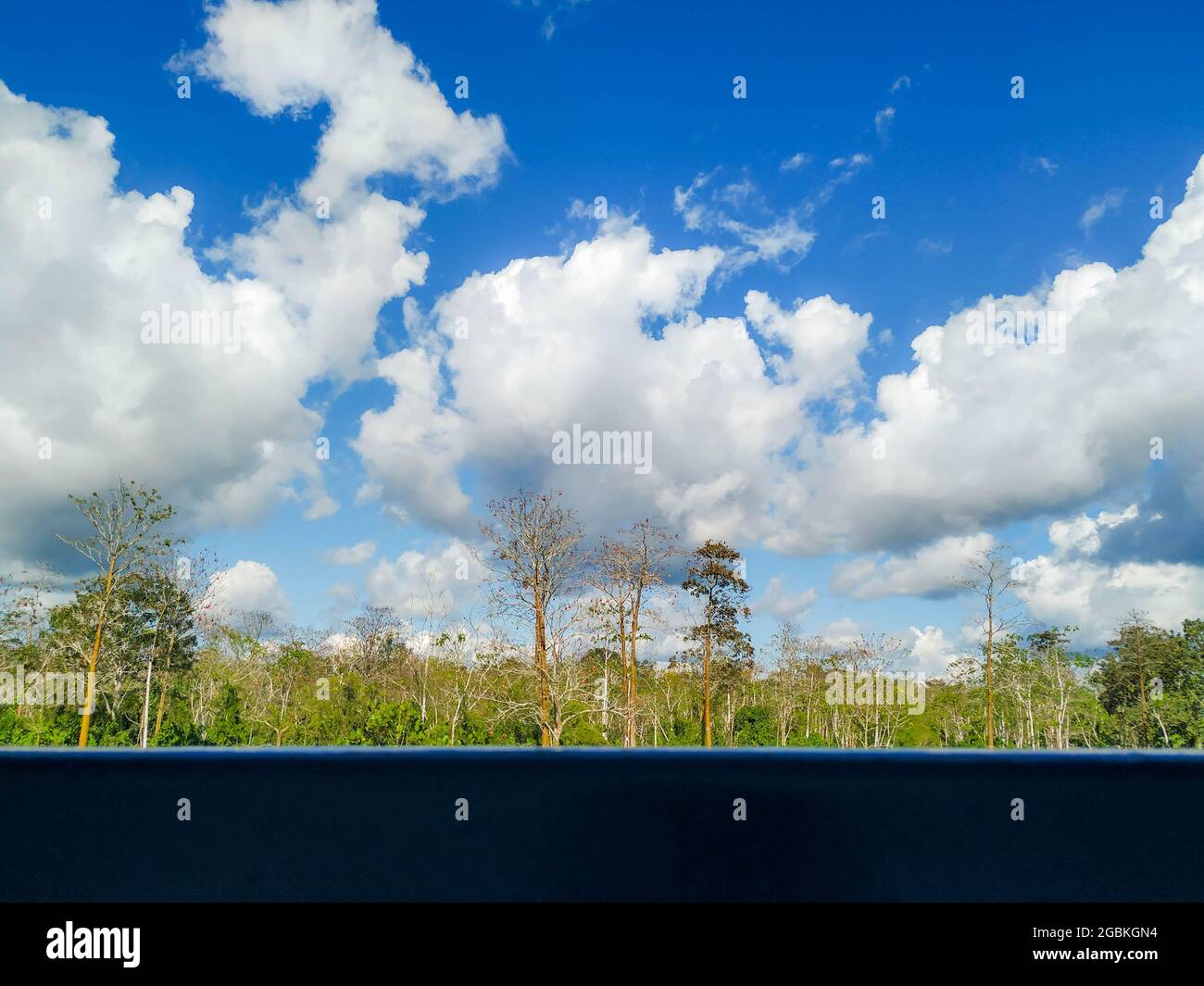 Brazil manaus river beach hi-res stock photography and images - Alamy