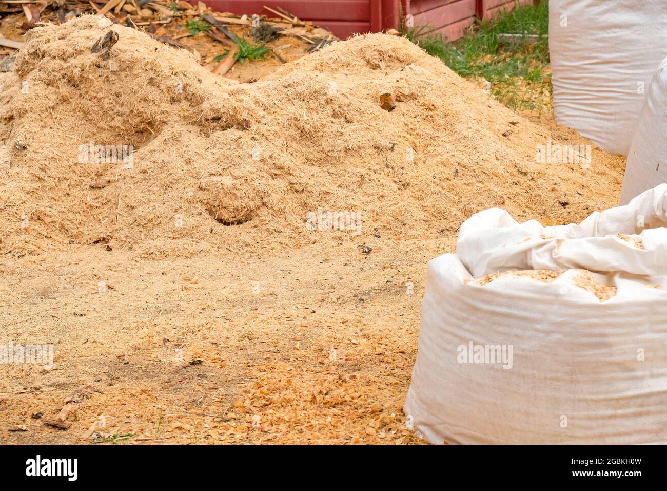 Equestrian arena sand hi-res stock photography and images - Alamy