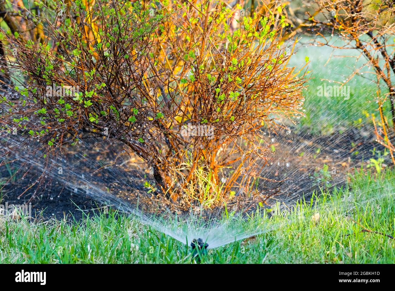 Irrigation grass hi-res stock photography and images - Alamy