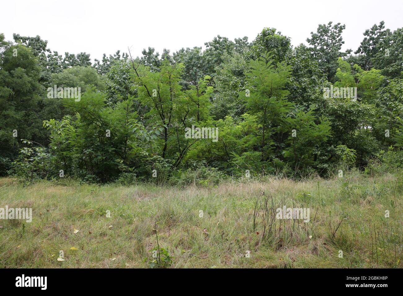 A thousand-year-old village with more than two hundred underground ...