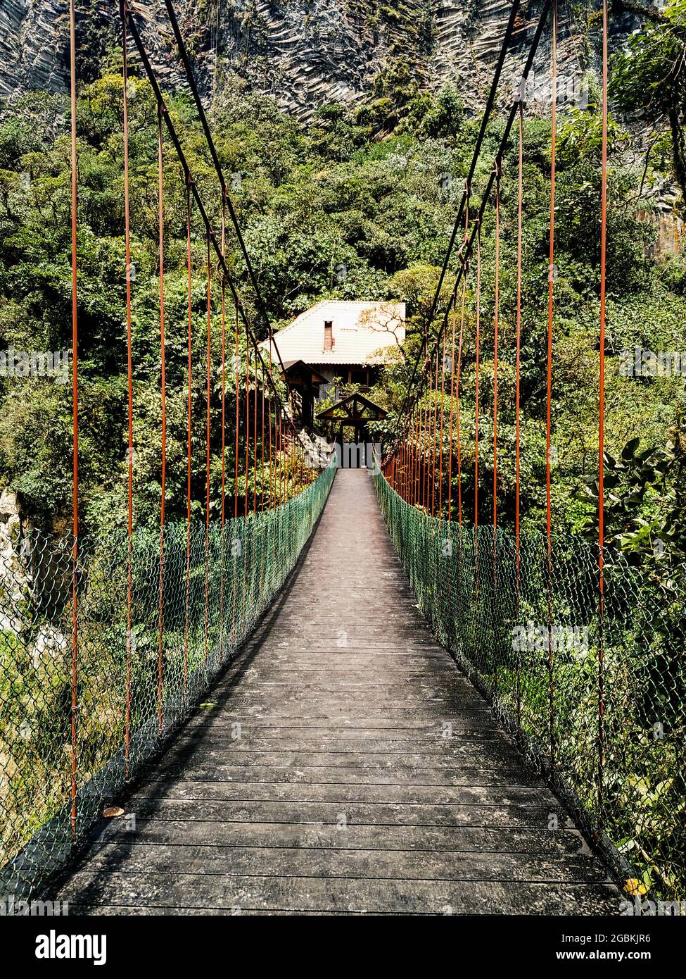Ancient bridge inside the Amazon jungle Stock Photo - Alamy