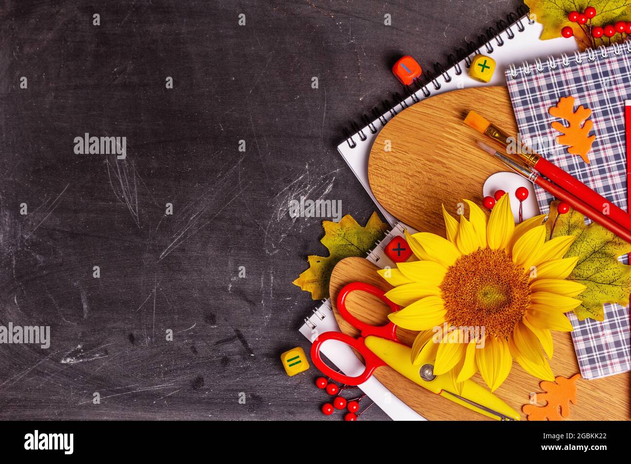 School supplies on a black chalkboard background. Composition with ...