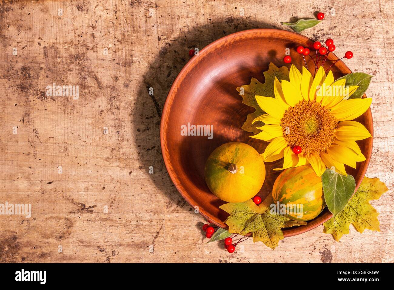 Autumn composition. Table setting, sunflower, red berries, and pumpkins ...