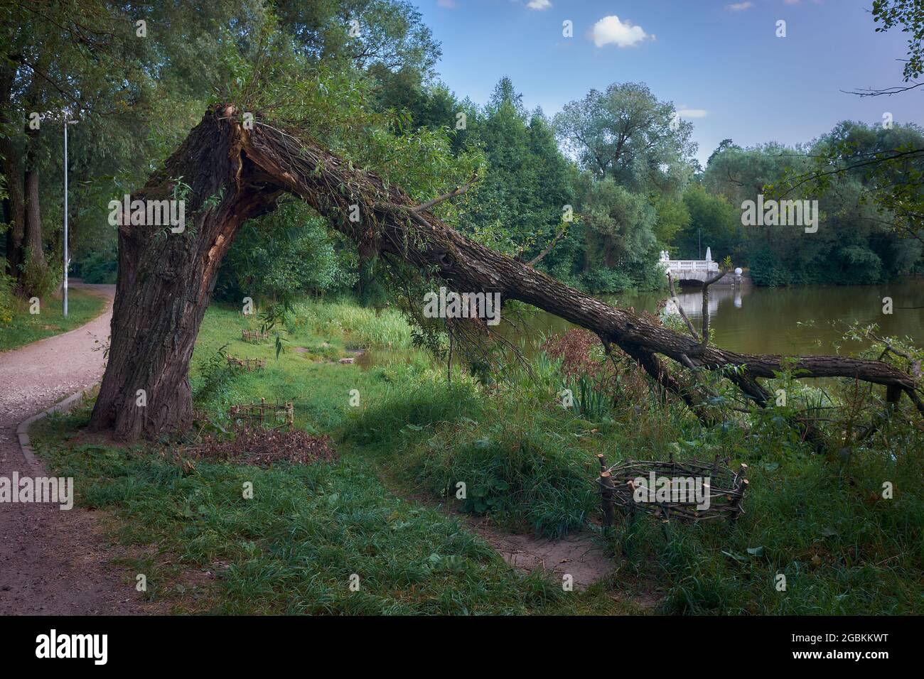 Landscape with a broken tree by the lake and an old marble bridge, soft ...