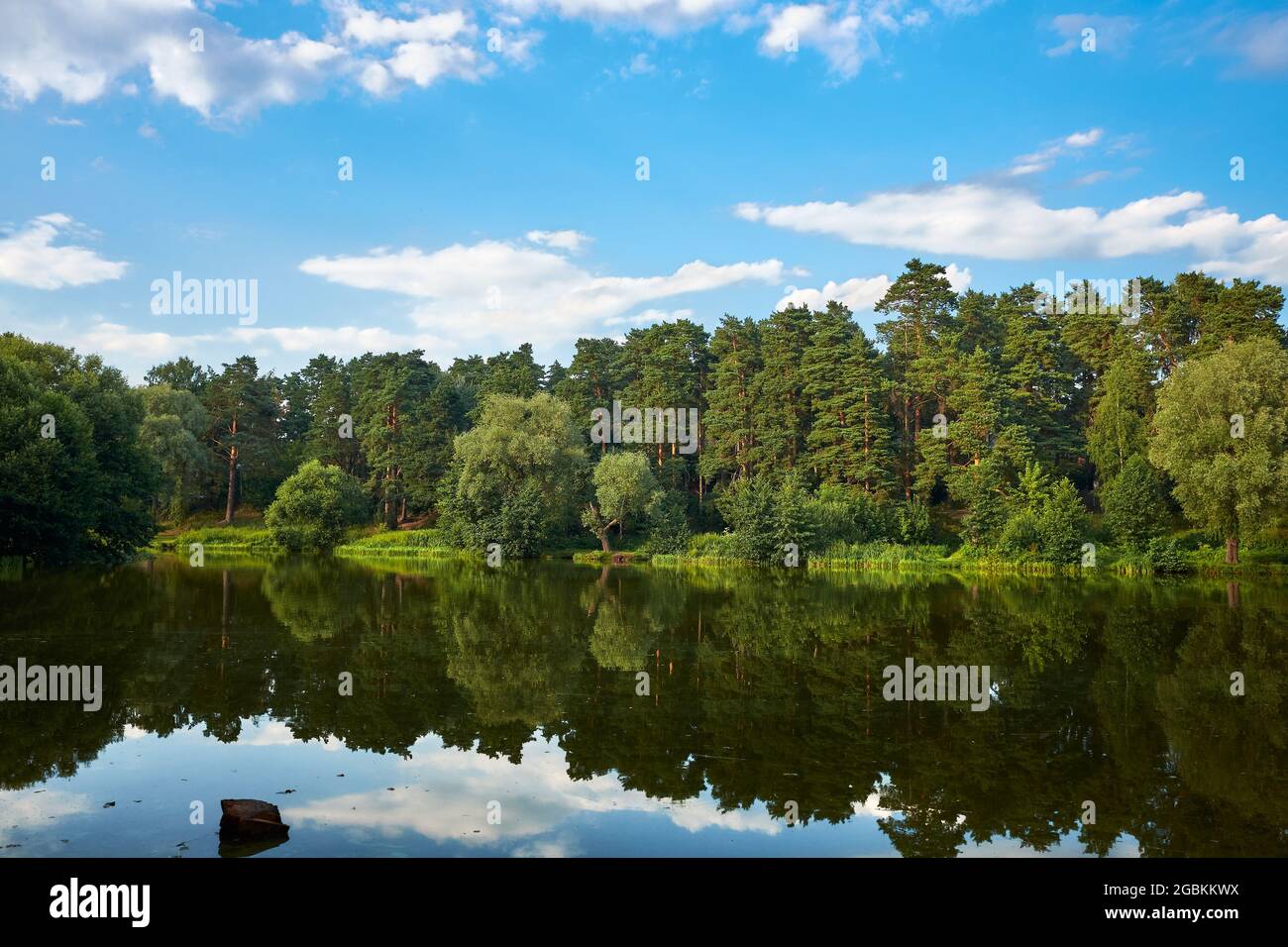 Beautiful lake in forest nature hi-res stock photography and images - Alamy