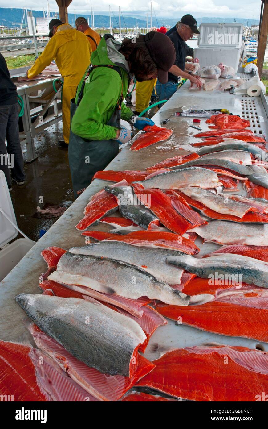 Cleaning guts hi-res stock photography and images - Alamy