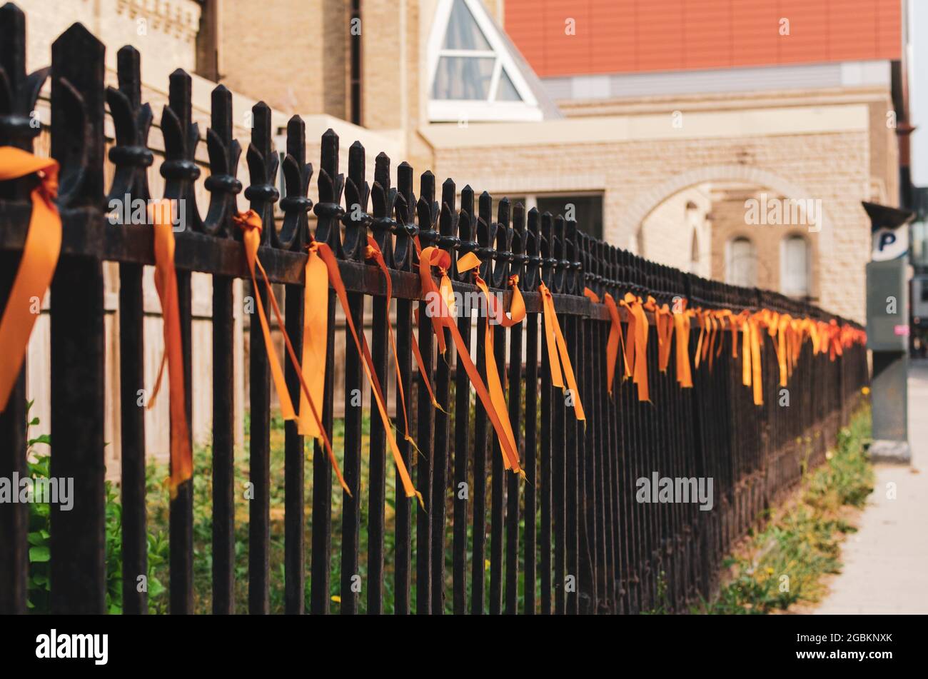 orange ribbons tied to a wrought iron fence outside Saint Mary's ...