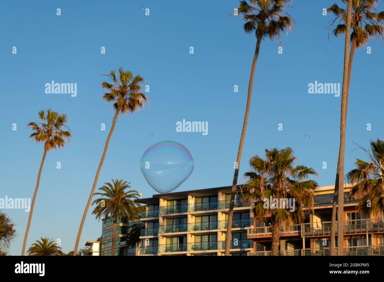 soap bubble blower fly. bubble among palm trees near building. summer ...